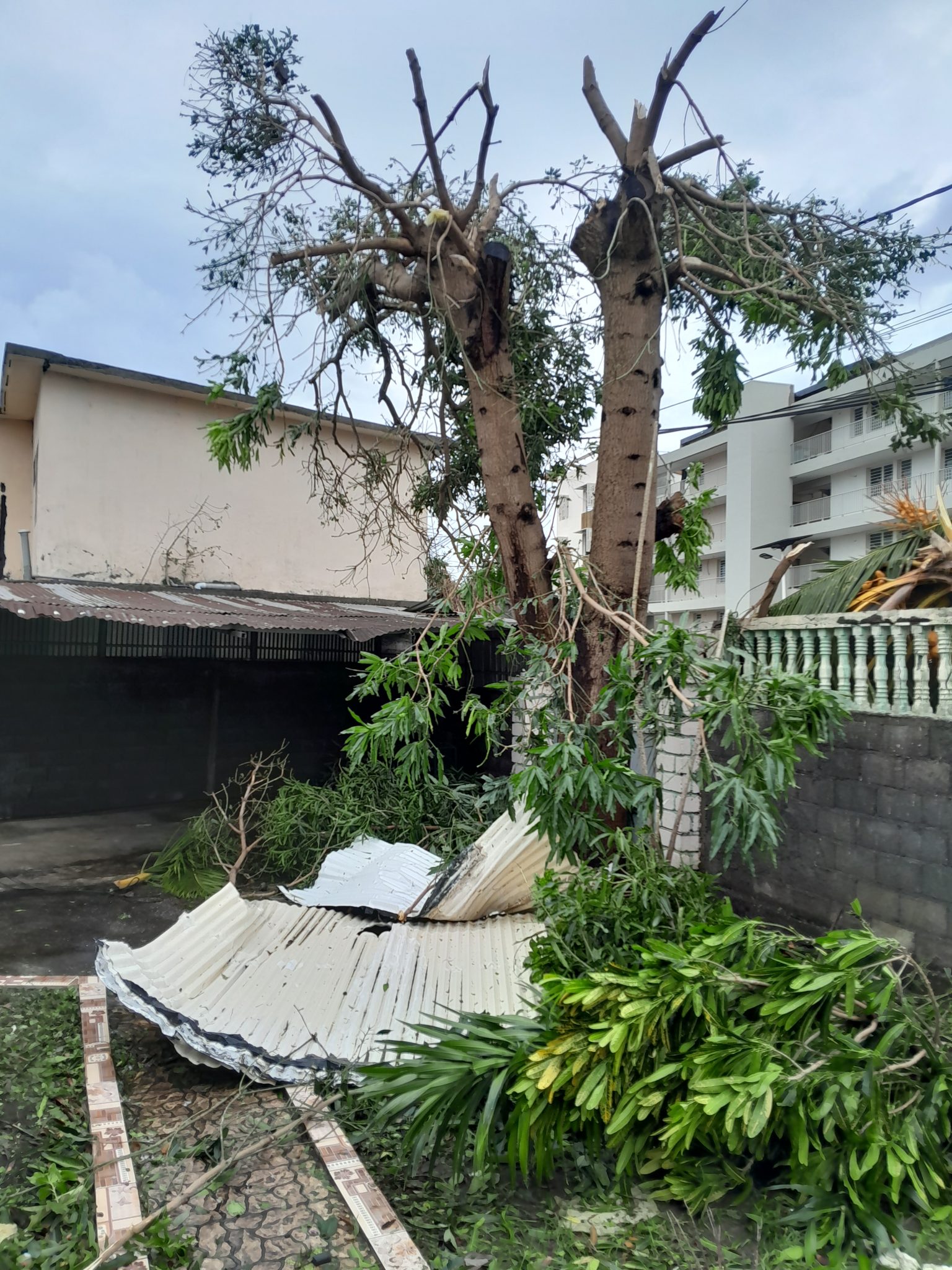 Voici quelques images de dévastation laissées par le cyclone chez moi ...